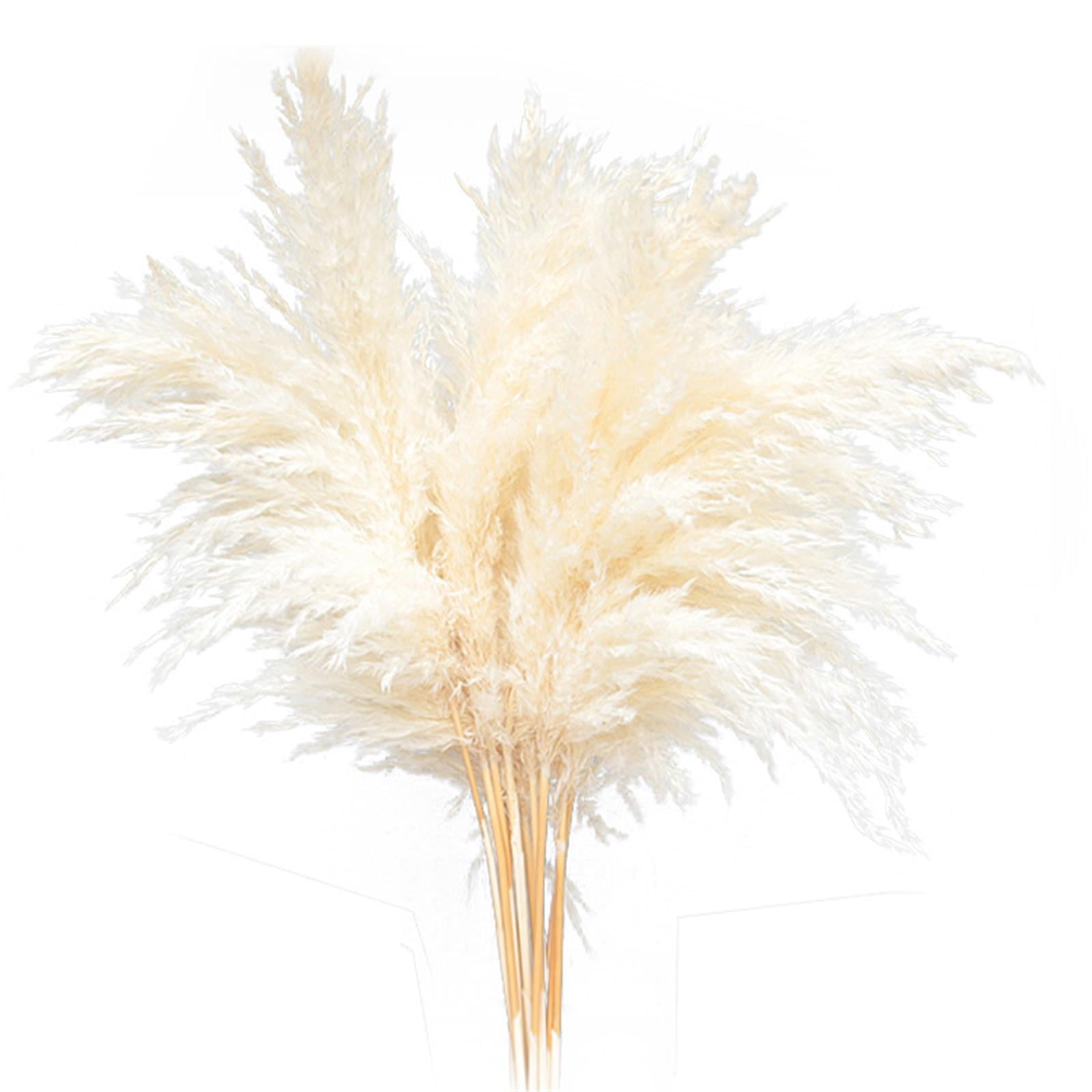 huntermoon Natural Dried Reed Flowers Bouquets Pampas Grass For Home ...