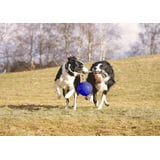 Jolly Pets Romp-n-Roll 8 inch Blue Rubber Ball with Rope for Dogs ...