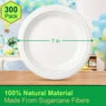 100 Pack Small Compostable Biodegradable Paper Plates, 7 inch, Bulk ...