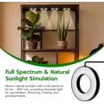 Ceiling Grow Lights for Indoor Plants, with 3/9/12H Auto Timer Switch ...