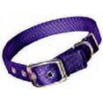 Hamilton 1" Double Thick Nylon Deluxe Dog Collar, 26" long, Purple ...