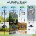 Bird Feeding Station Kit with Squirrel Baffle Bird Feeder Pole with ...