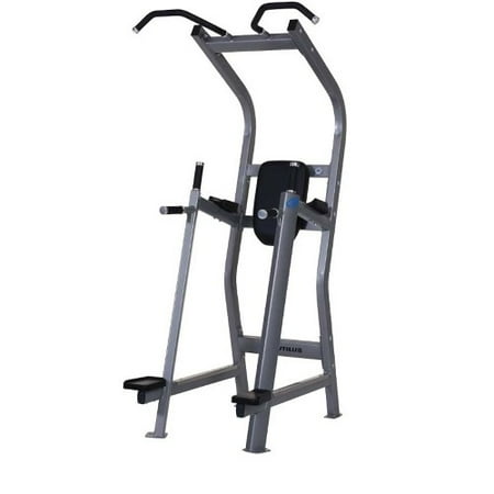Nautilus Chin-Dip Leg Raise Machine - Walmart.com