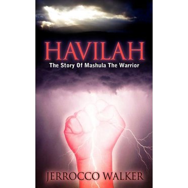 A Nefarious Plot (Paperback) - Walmart.com