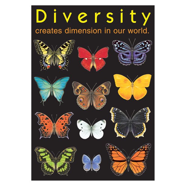 Trend® Educational Classroom Posters, Diversity creates dimension ...