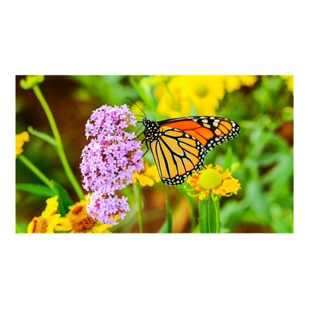 NEC MultiSync UN552S - 55" Diagonal Class LED-backlit LCD display ...