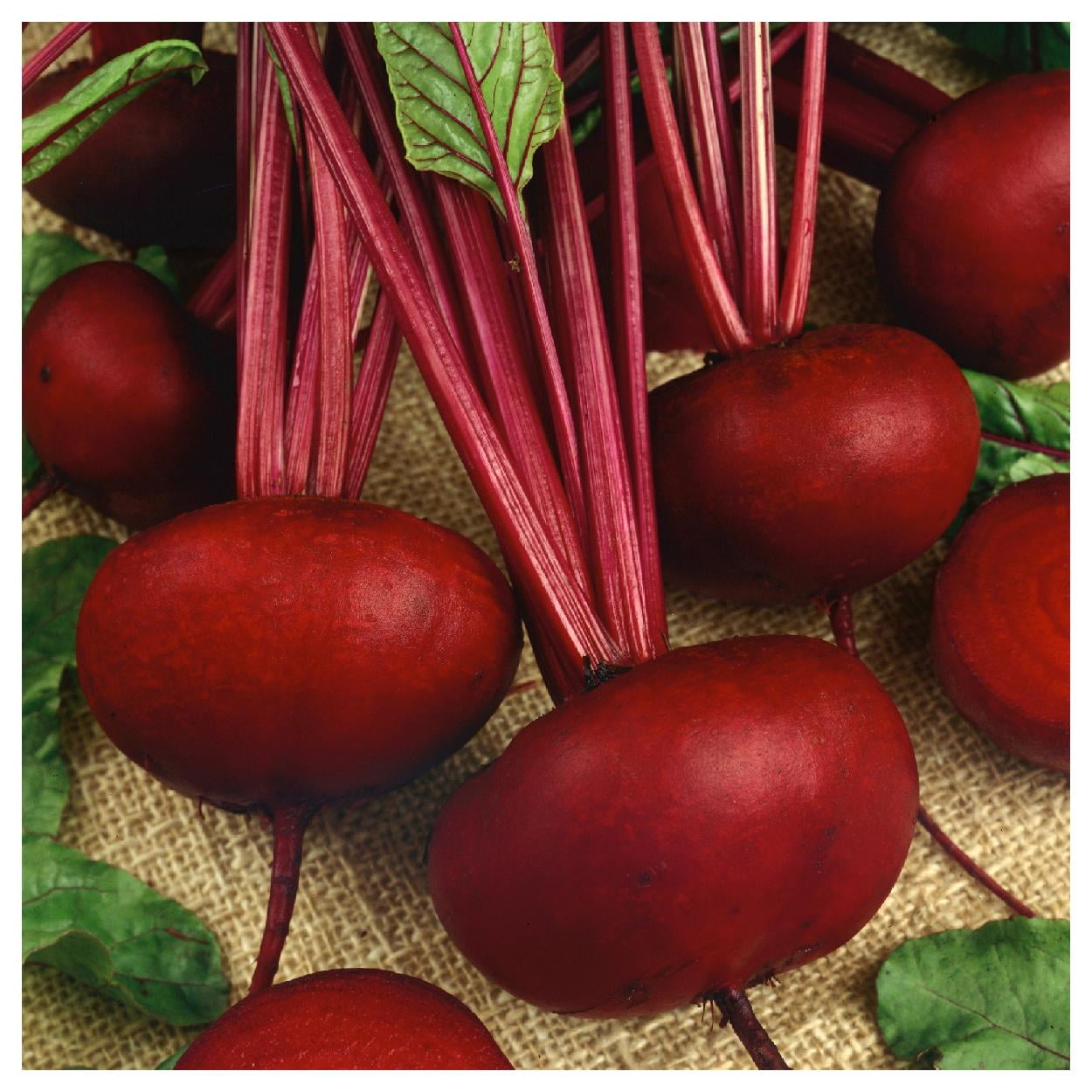 Everwilde Farms - 1 oz Crosby's Egyptian Beet Seeds - Gold Vault Bulk ...