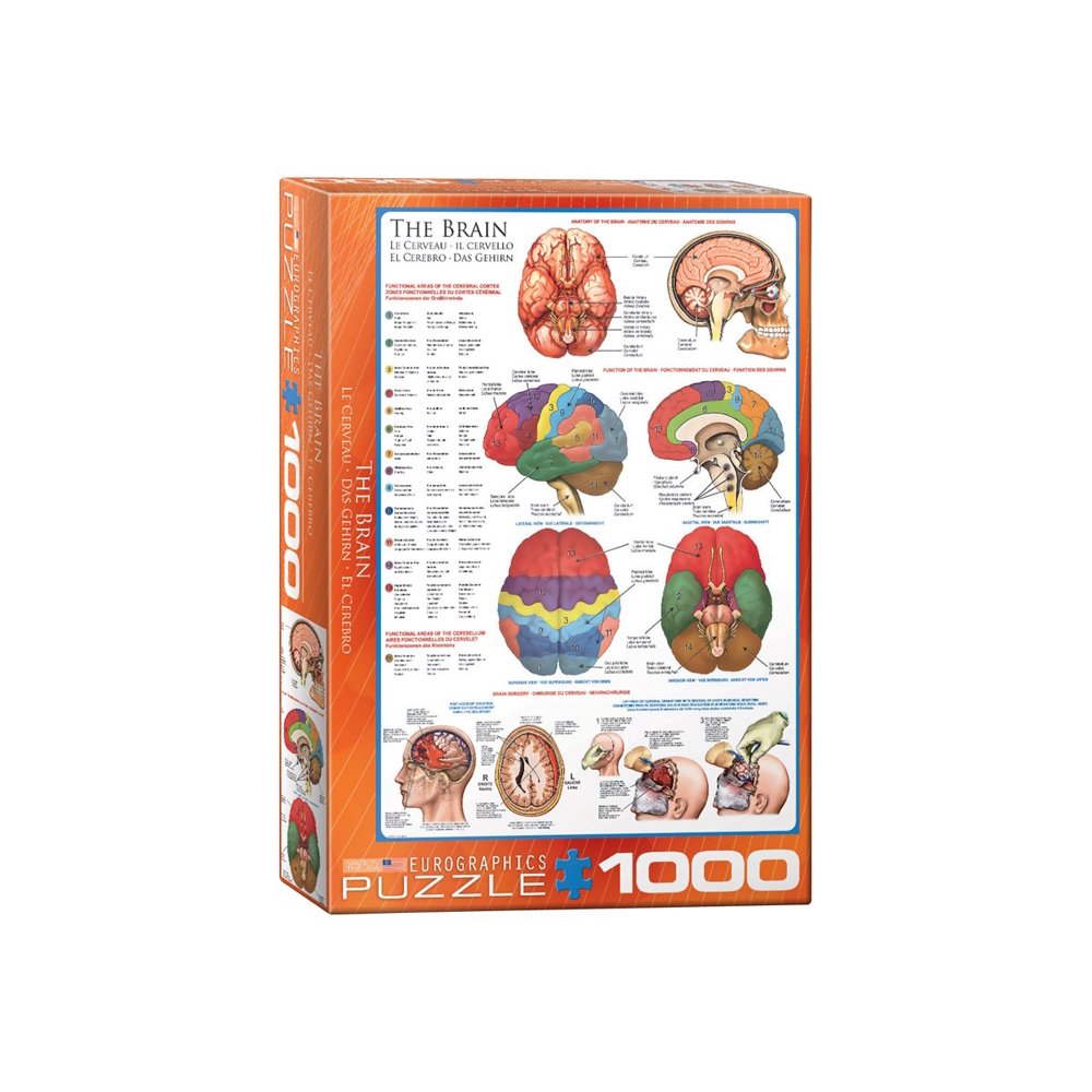 EurographicsPuzzles Science - The Brain - jigsaw puzzle - 1000 pieces ...