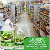 OdoBan Disinfectant & Odor Eliminator, Eucalyptus (1 gal. concentrate ...