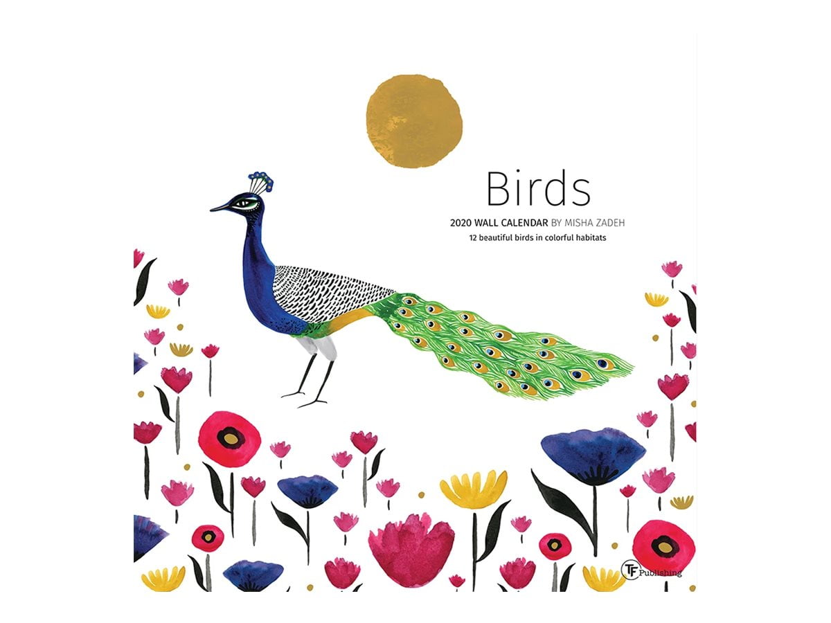 2020 Birds Wall Calendar - Walmart.com
