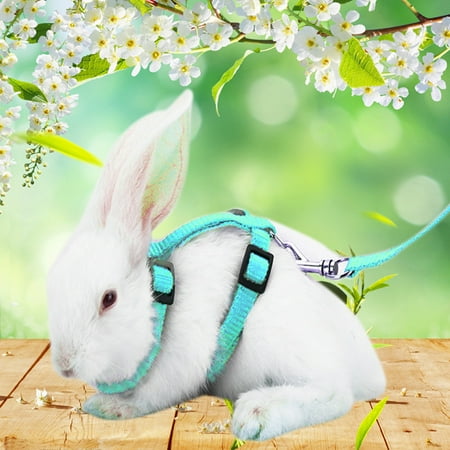 Cheers Adjustable Soft Polyester Small Pet Rabbit Harness Leash Guinea ...
