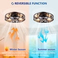 20'' Caged Ceiling Fan with Lights and Remote Control with Reversible ...