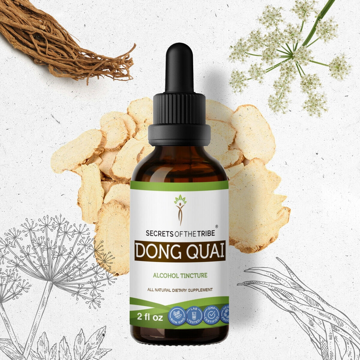 Dong Quai Tincture Alcohol Extract, Organic Dong quai (Angelica ...