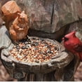 Evergreen Enterprises St. Francis and Friends Statuary Feathered Garden ...