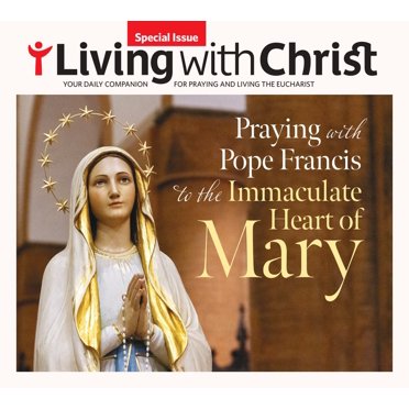 The School of Mary (Paperback) - Walmart.com