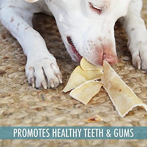 Are Buffalo Ears Safe For Dogs