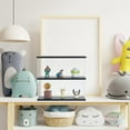 Acrylic Display Case Clear Wall Mountable Display Case for DIY ...