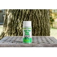 Tanglefoot Tangle-Trap Insect Trap Coating, 10 oz, Traps Ants, Flies ...