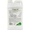 Glystar Plus Glyphosate Herbicide: Tree, Bush Killer & Grass Weed ...