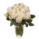 50 Stems of Ivory Roses- Beautiful Fresh Cut Flowers- Express Delivery ...