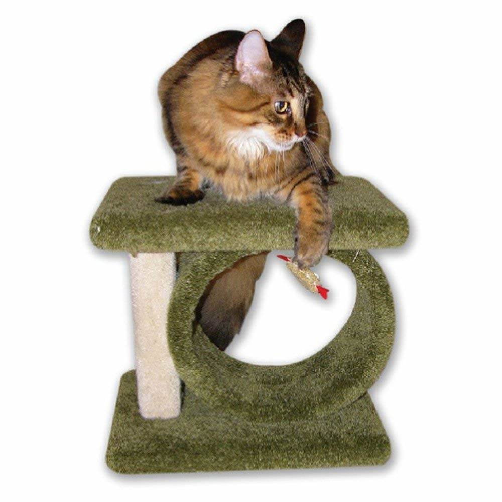 Beatrise Kitty Carnival 12W x 15H in. Cat Condo - Walmart.com