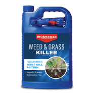 SA 2,4-D Amine Weed Killer Herbicide - 1 Quart - Walmart.com