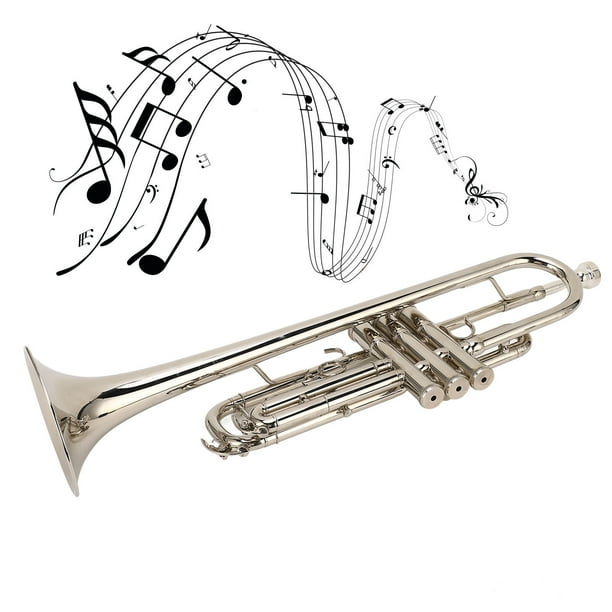 Trompeta Exquisita De Latón, Instrumento Musical, Para Principiantes ...