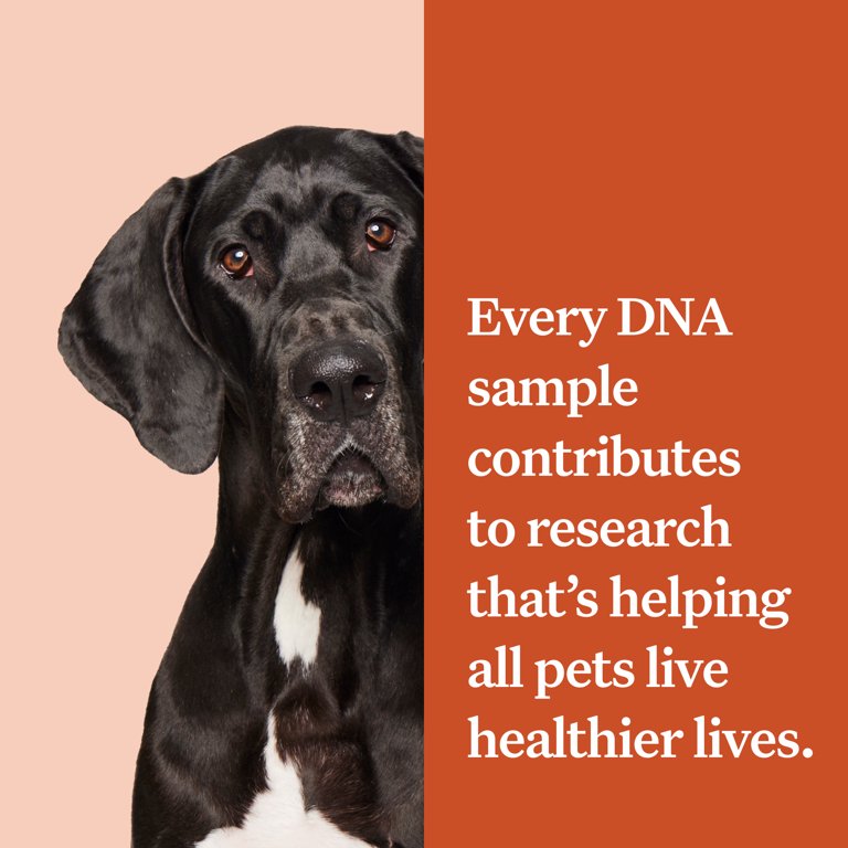 Canine Dna Health Testing | ppgbbe.intranet.biologia.ufrj.br