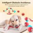 Interactive Cat Ball Toy - Automatic Rolling Ball with Tail ...