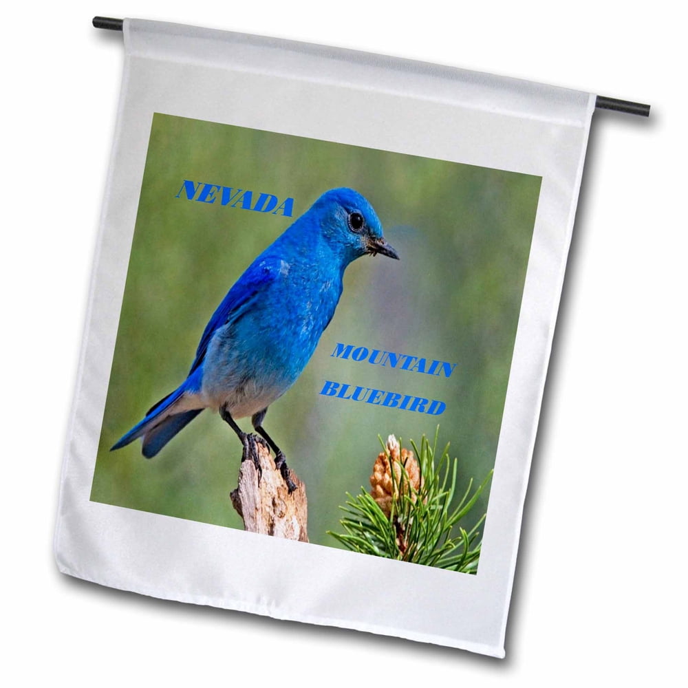 3dRose State Bird Of Nevada Mountain Bluebird - Garden Flag, 12 by 18 ...