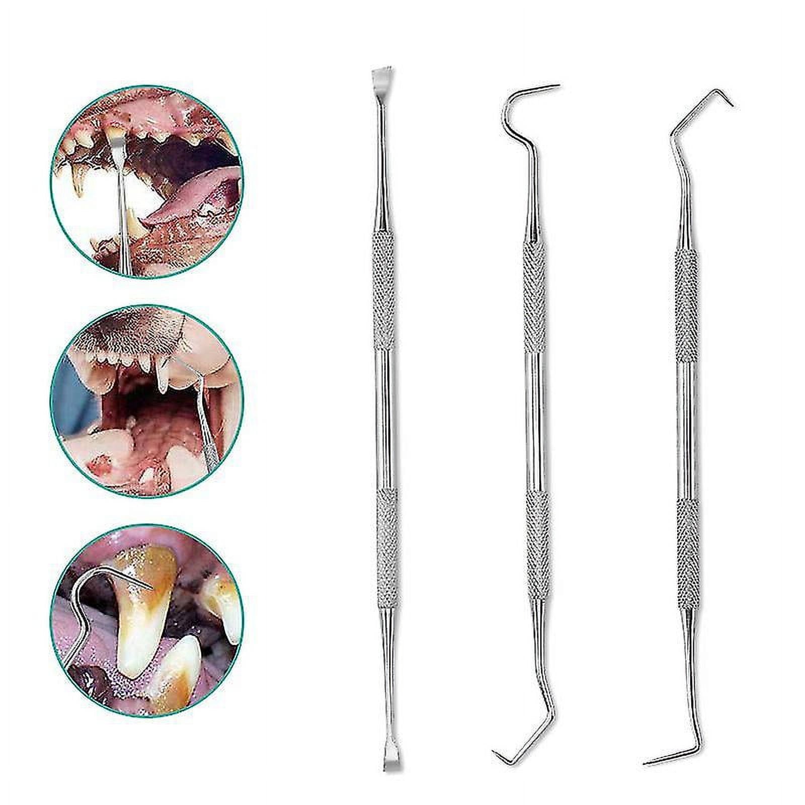 Professional Dental Tools, Dog Teeth Scaler And Scraper Stainless Steel ...