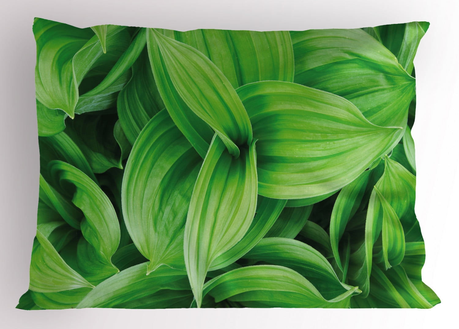 Plant Pillow Sham Close-up Beautiful Tropic Foliage Pattern Helleborus ...
