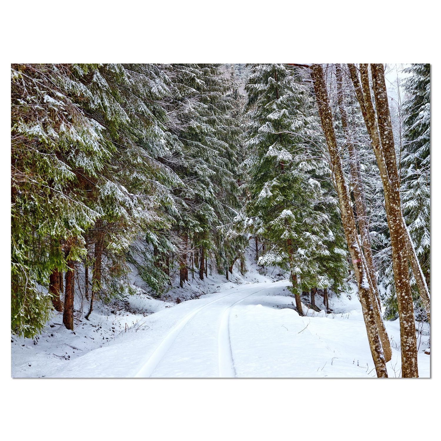 Click here for Designart Snowy Road In The Forest Canvas Wall Art... prices