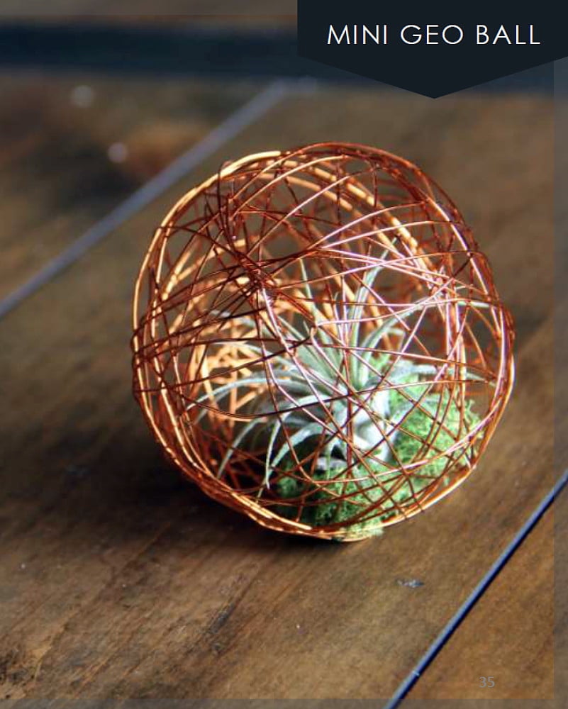 Mini Geo Ball with Living Air Plant - 3" Diameter - Walmart.com ...
