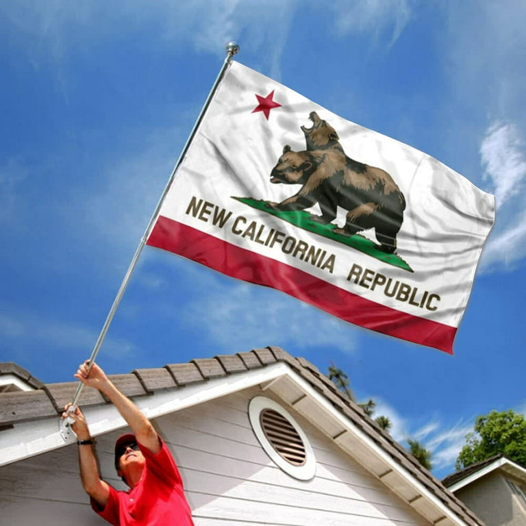 California Republic Flag Background Fallout New Vegas New California