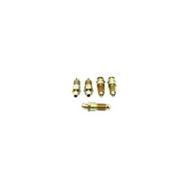 Raybestos R-Line Bleeder Screws - Walmart.com