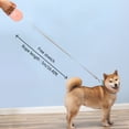 5M Retractable Dog Leash for Walking Medium Large Breed Dogs Leads ...
