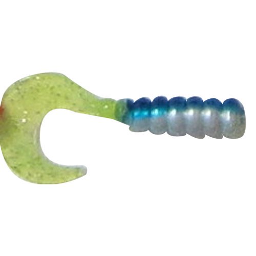 Blue Spotted Tail