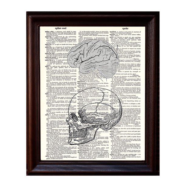 Human Brain and Skull - Dictionary Art Print Printed On Authentic ...