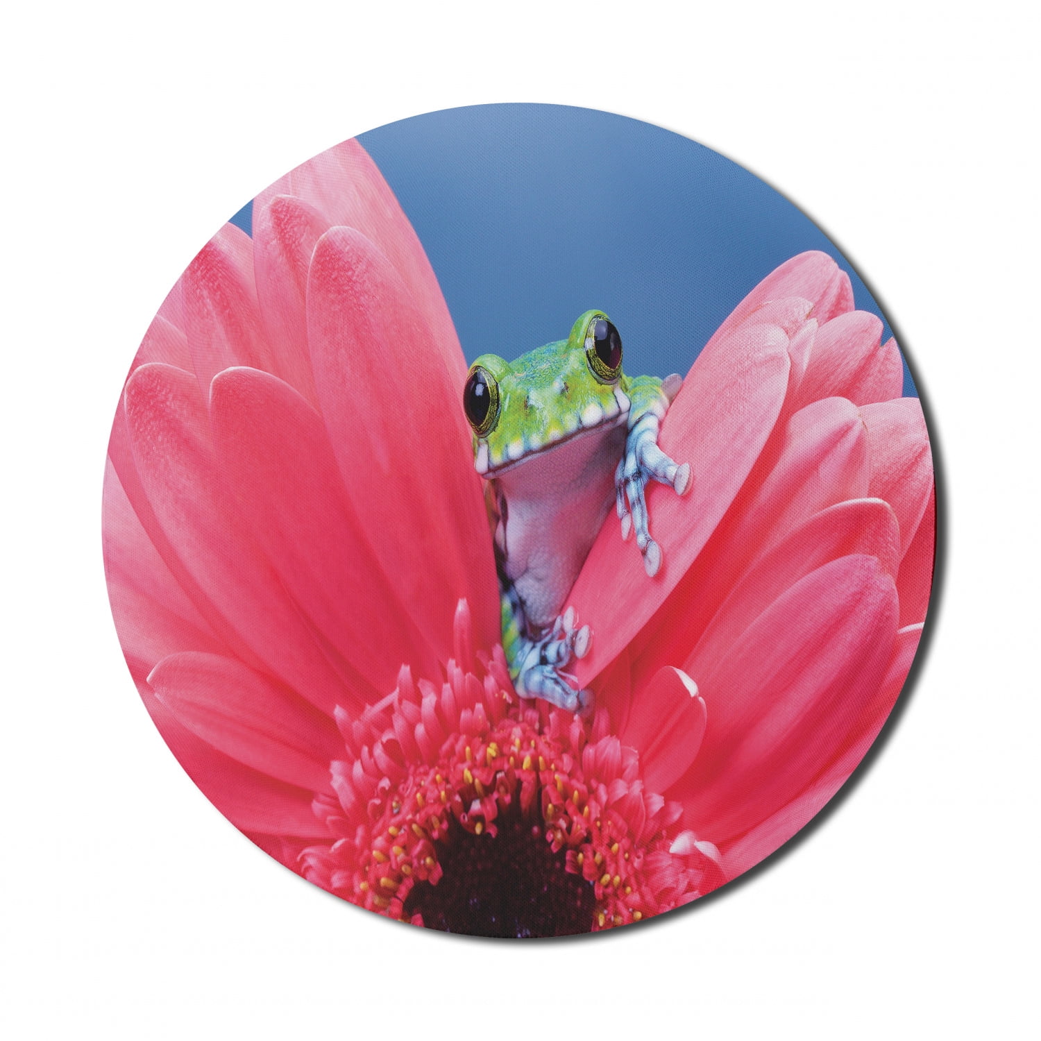 Animal Mouse Pad for Computers, Tiny Little Tree Frog on Gerbera Flower ...