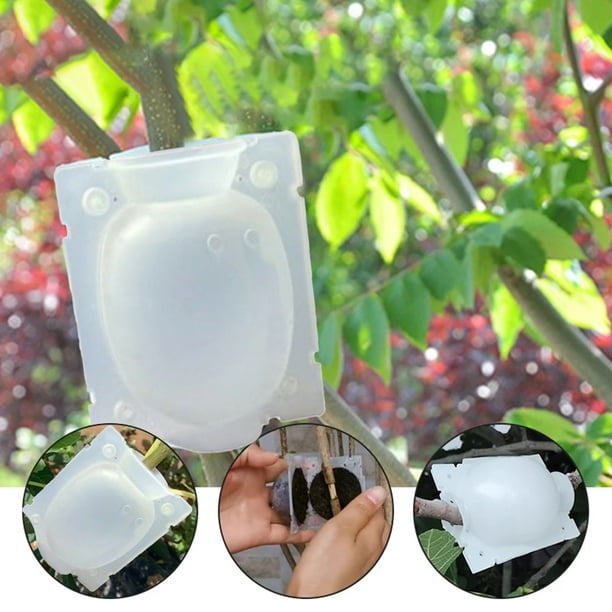 Plant Root Growing Box Plant Rooting Box 3Pcs Plant Root Growing Box ...