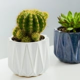 Better Homes & Gardens Pottery 5" Devi Round Ceramic Planter, White ...