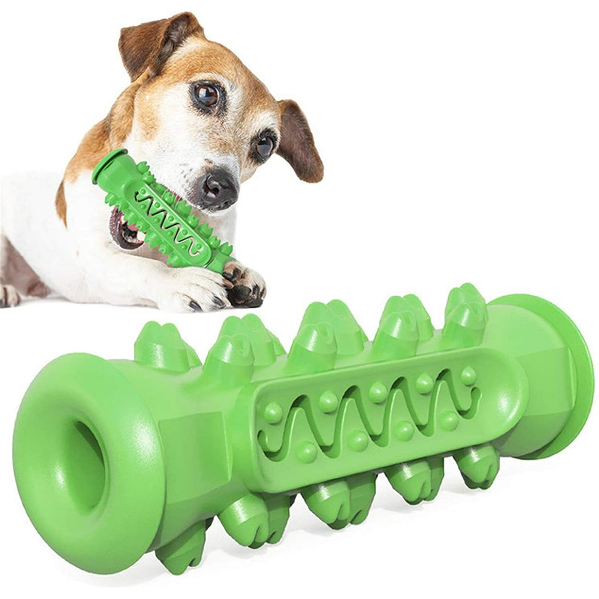 How Do You Take Care Of A Small Dogs Teeth