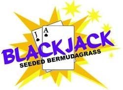 Blackjack Bermuda Grass Seed - 50 Lbs. - Walmart.com