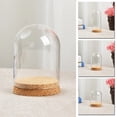 8/10/12cm Modern Handcraft Glass Dome Cover Dry Flower Vase With Wood ...