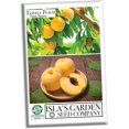 Lovell Peach Tree Seeds for Planting, (Prunus persica), 2 Heirloom ...