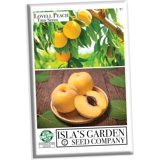 Lovell Peach Tree Seeds for Planting, (Prunus persica), 2 Heirloom ...