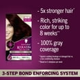 Schwarzkopf Keratin Color Permanent Hair Dye 1.8 Ruby Noir Long-Lasting ...