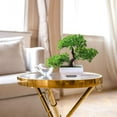 Sunjoy Tech Indoor Artificial Bonsai Tree, Fake Plant Decoration, Potted House Plants for Home ...