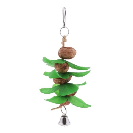 Bird Toy Cockatiel Chewing Nuts Conures Macaws Finches Single Strings ...
